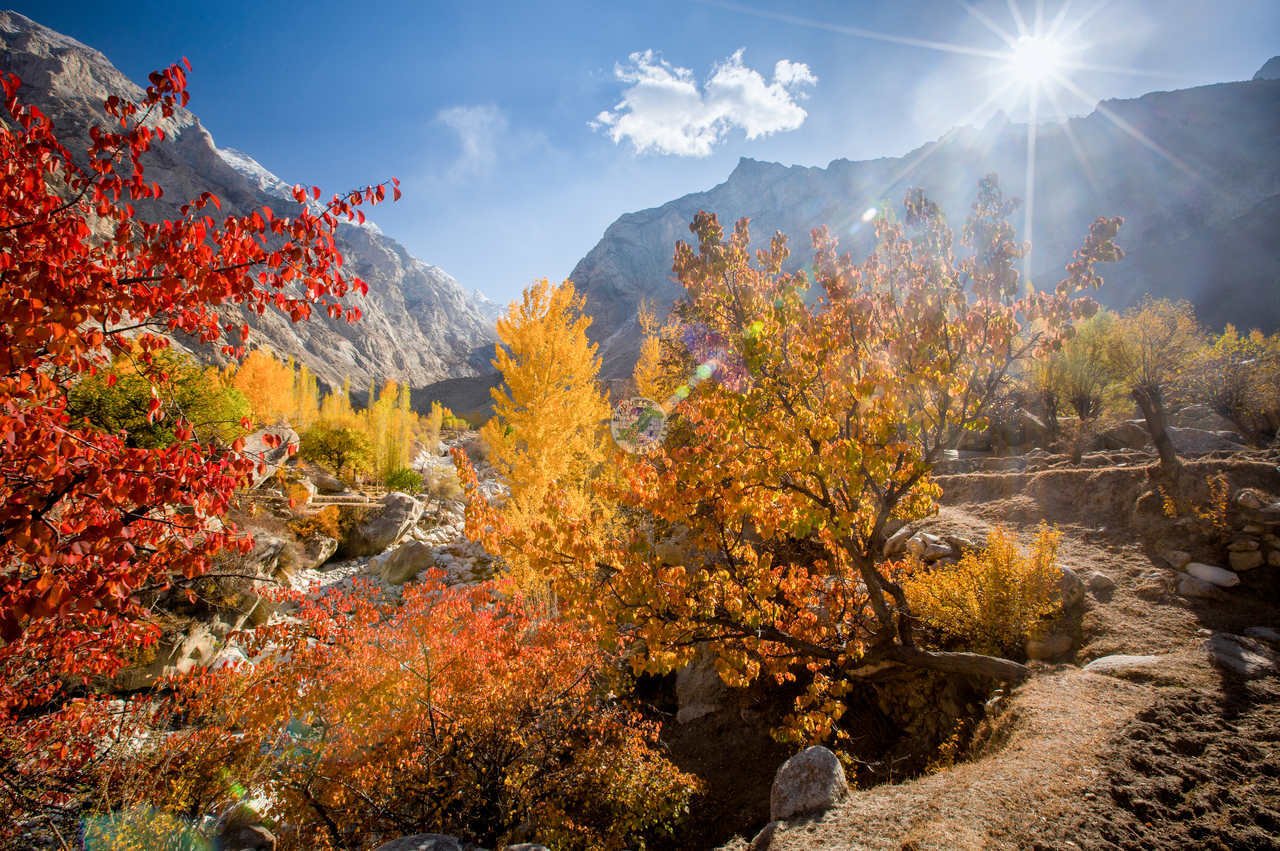 Hunza Autumn Tour 2025 | Book Now | Explore Pakistan